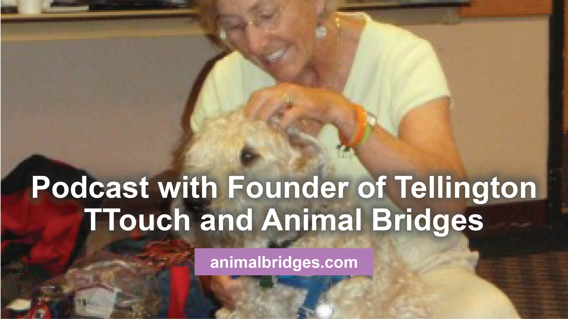 Podcast with Founder of Tellington TTouch and Animal Bridges